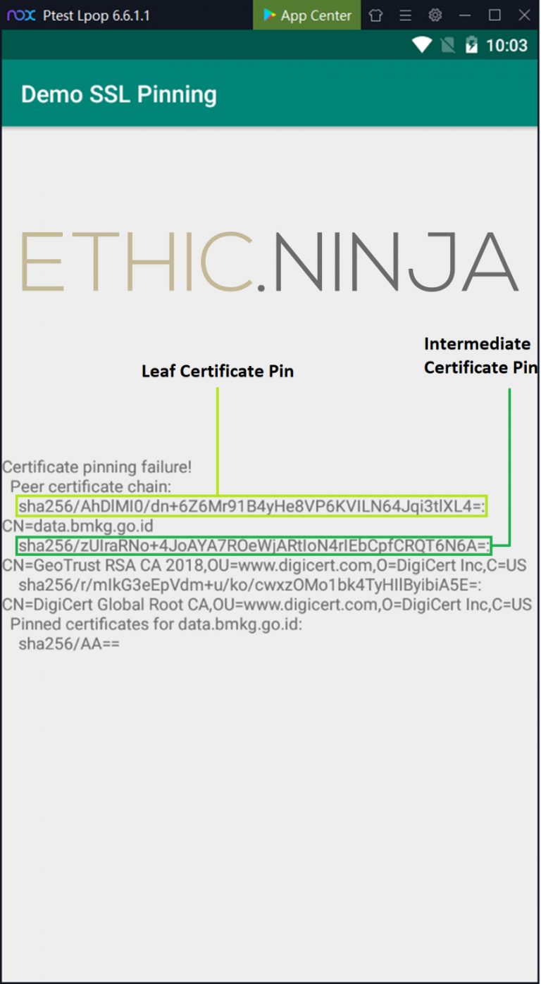 SSL Pinning 2 watermark - Ethic Ninja – Jasa Pentest & Audit Keamanan ...